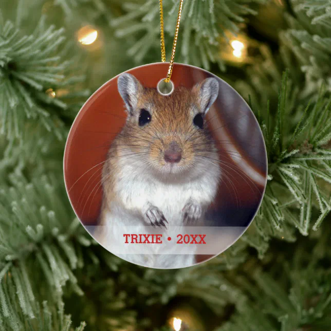 Personalized Pet Gerbil Photo Name Christmas Tree Ceramic Ornament | Zazzle