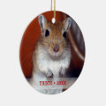 Personalized Pet Gerbil Photo Name Christmas Tree Ceramic Ornament | Zazzle