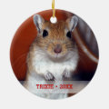 Personalized Pet Gerbil Photo Name Christmas Tree Ceramic Ornament | Zazzle