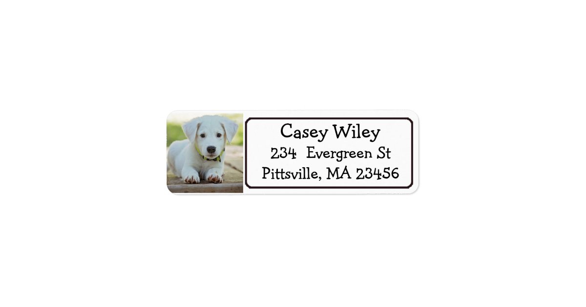 Personalized Pet or Dog Address Label | Zazzle