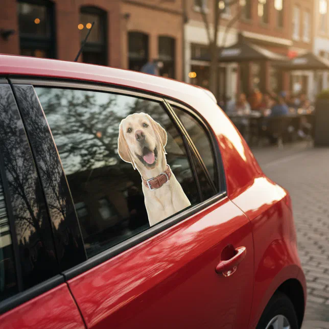 Personalized Pet Photo Car Window Sticker | Zazzle