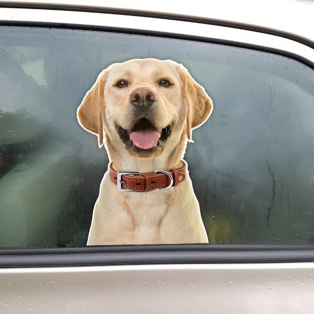 Personalized Pet Photo Car Window Sticker | Zazzle