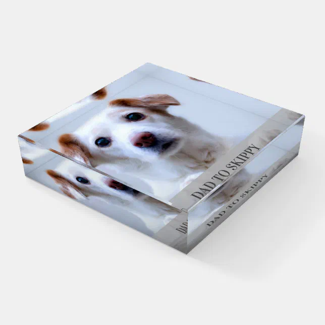 Personalized Pet Photo Dog Dad Paperweight | Zazzle