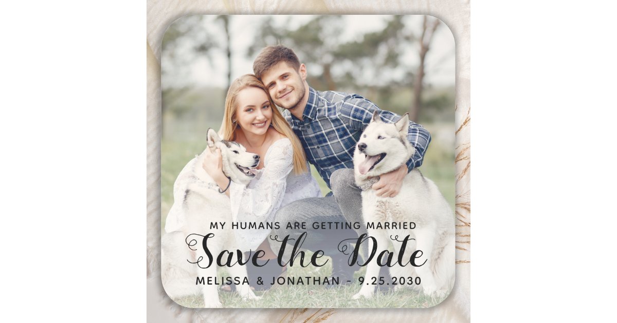 Personalized Pet Photo Engagement Dog Wedding Square Sticker | Zazzle