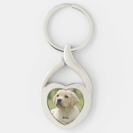 Personalized Pet Photo Keepsake Dog Lover Keychain | Zazzle