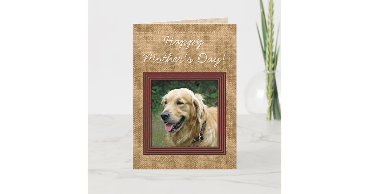 Personalized Photo Card From Your Dog | Zazzle