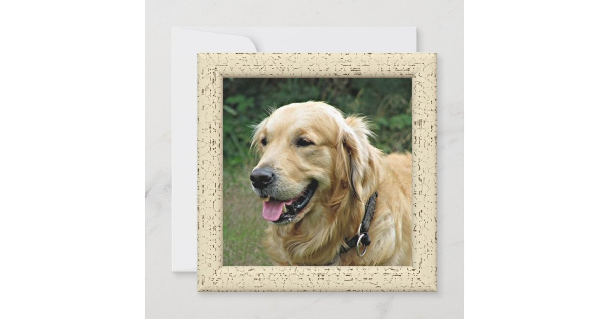 Personalized Photo Card From Your Dog | Zazzle