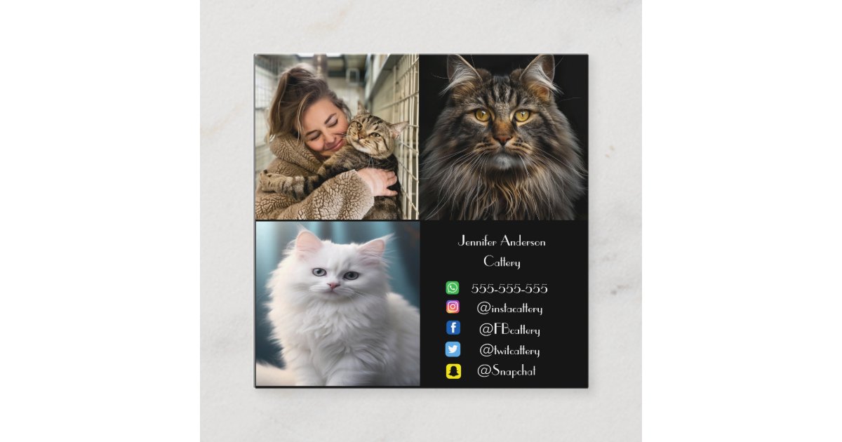 Personalized Photo Collage Cattery Business Card | Zazzle