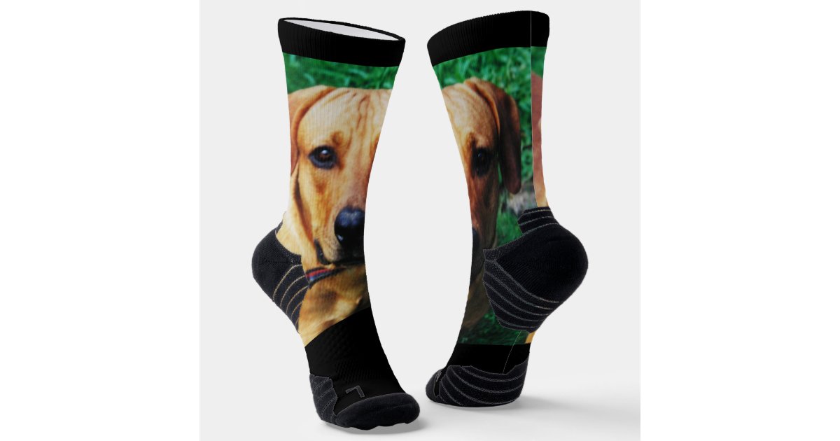 Personalized Photo Custom Crew Socks | Zazzle