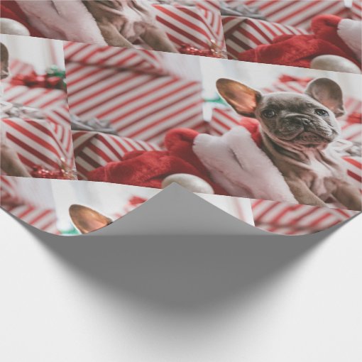 Personalized Photo Custom Wrapping Paper | Zazzle