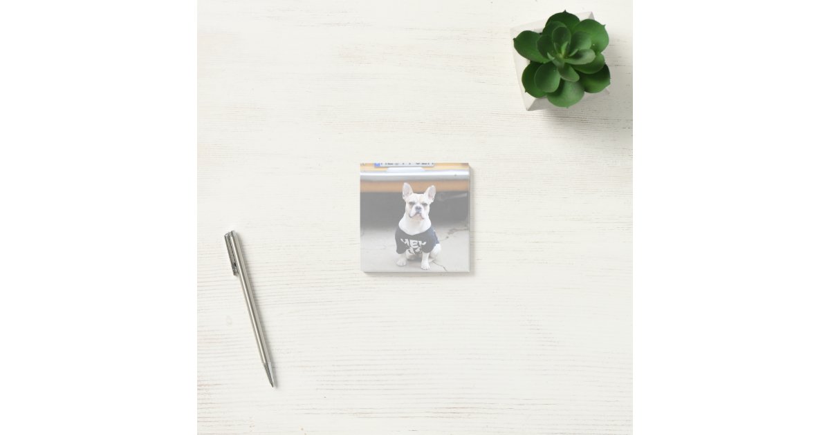 Personalized Photo Post-it Notes | Zazzle