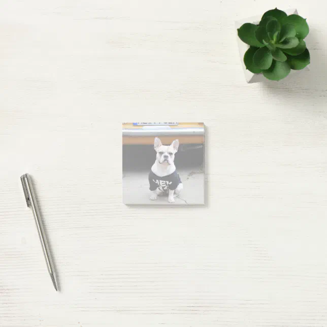 Personalized Photo Post-it Notes | Zazzle