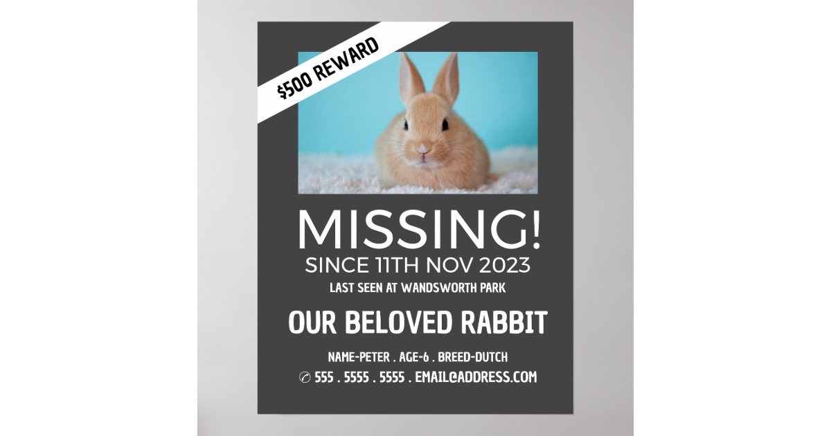 Personalized Photograph, Missing, Lost Pet Poster | Zazzle