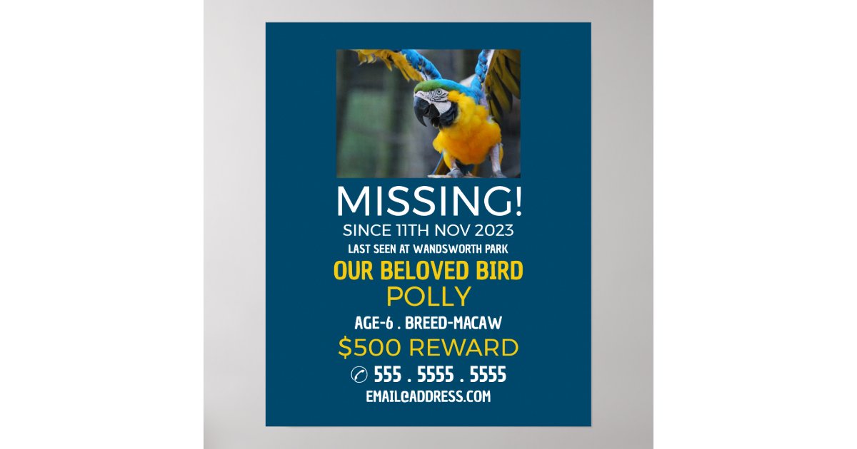 Personalized Photograph, Missing, Lost Pet Poster | Zazzle