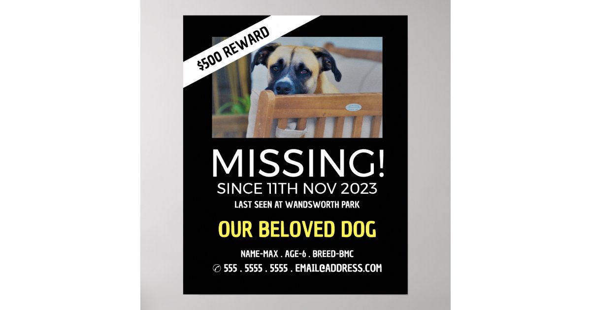 Personalized Photograph, Missing, Lost Pet Poster | Zazzle