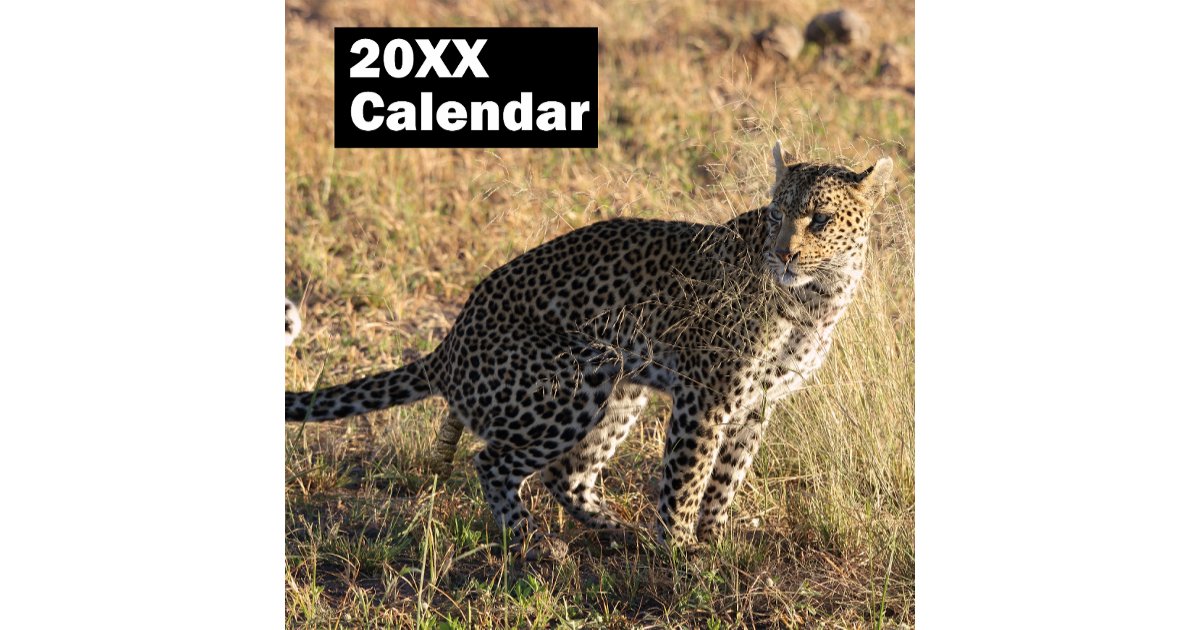 Personalized Pooping Animals Calendar 2025 | Zazzle