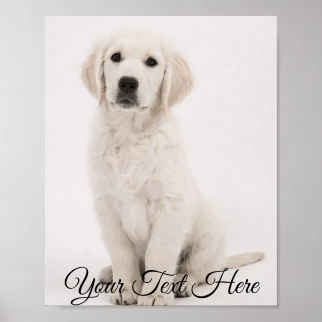 Personalized Portrait Poster Photo Print | Zazzle