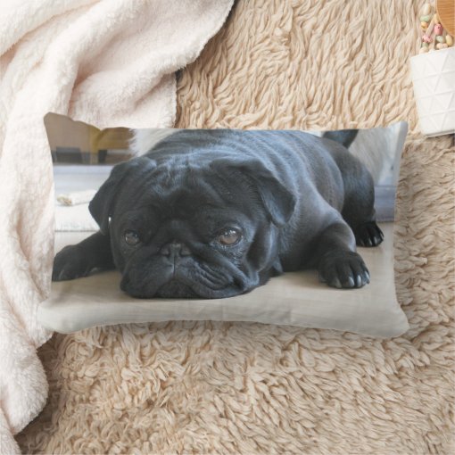 Personalized Pug Pillow, black pug puppy, cute Lumbar Pillow | Zazzle