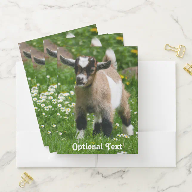 Personalized Pygmy Dwarf Goat Kid Pocket Folder | Zazzle