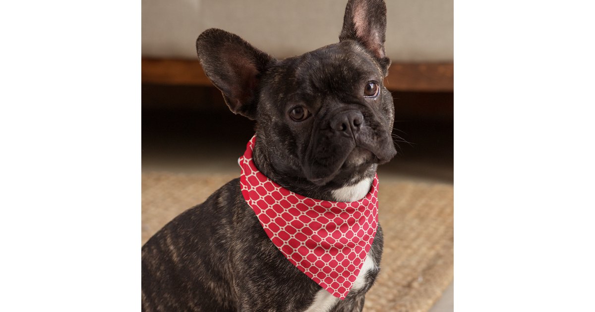 Personalized Red Diamond Checker with Bone Motif Bandana | Zazzle