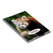 Personalized Red Panda Notebook | Zazzle