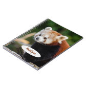 Personalized Red Panda Notebook | Zazzle