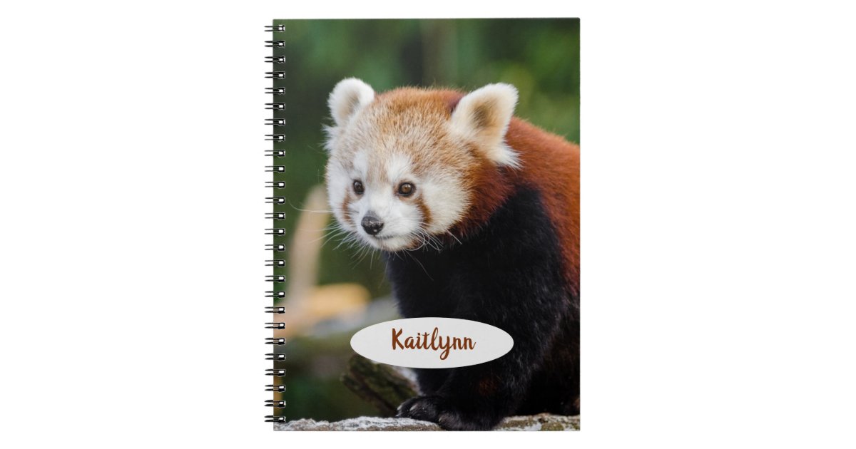Personalized Red Panda Notebook | Zazzle