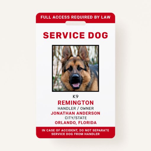 Personalized Red White Service Dog Photo ID Badge | Zazzle