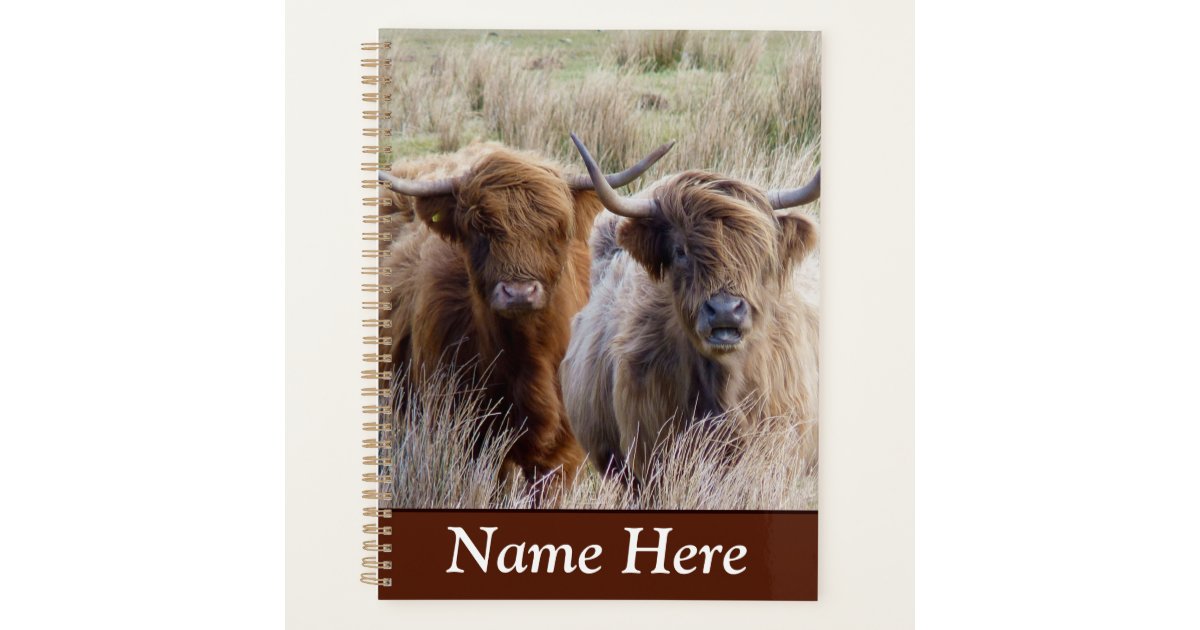 Personalized Scottish Highland Cows Planner | Zazzle