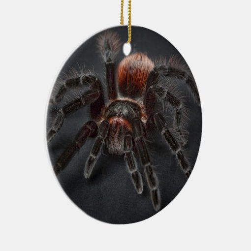 Personalized Tarantula Spider Christmas Ceramic Ornament | Zazzle
