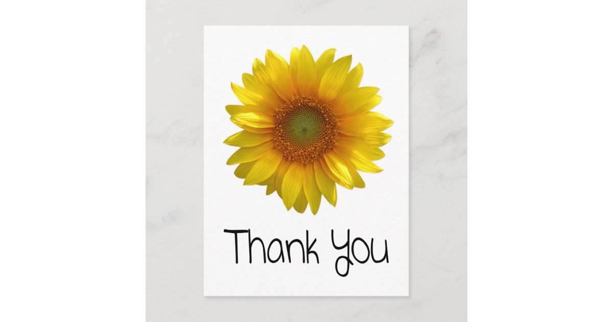 Personalized Thank You Sunflower Greeting Postcard | Zazzle