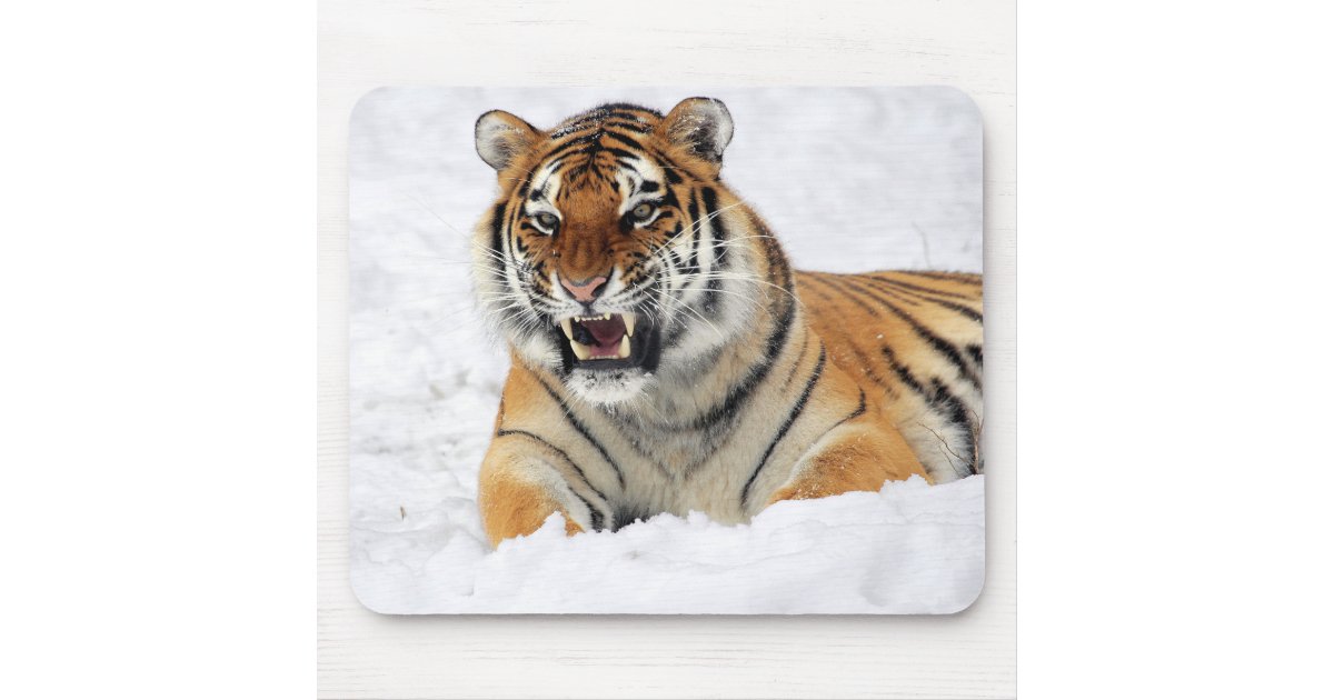 Personalized Tiger Wild Animal Mouse Pad | Zazzle
