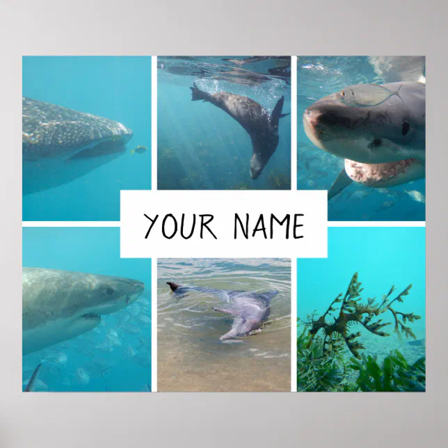 Personalized Underwater Animals Australia Poster | Zazzle