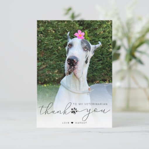 Personalized Veterinarian Pet Care Pet Photo Thank You Card | Zazzle