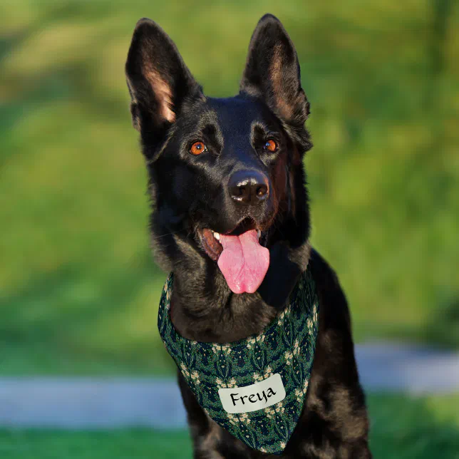 Personalized Walter Crane "Francesca" Botanical Pet Bandana Collar | Zazzle