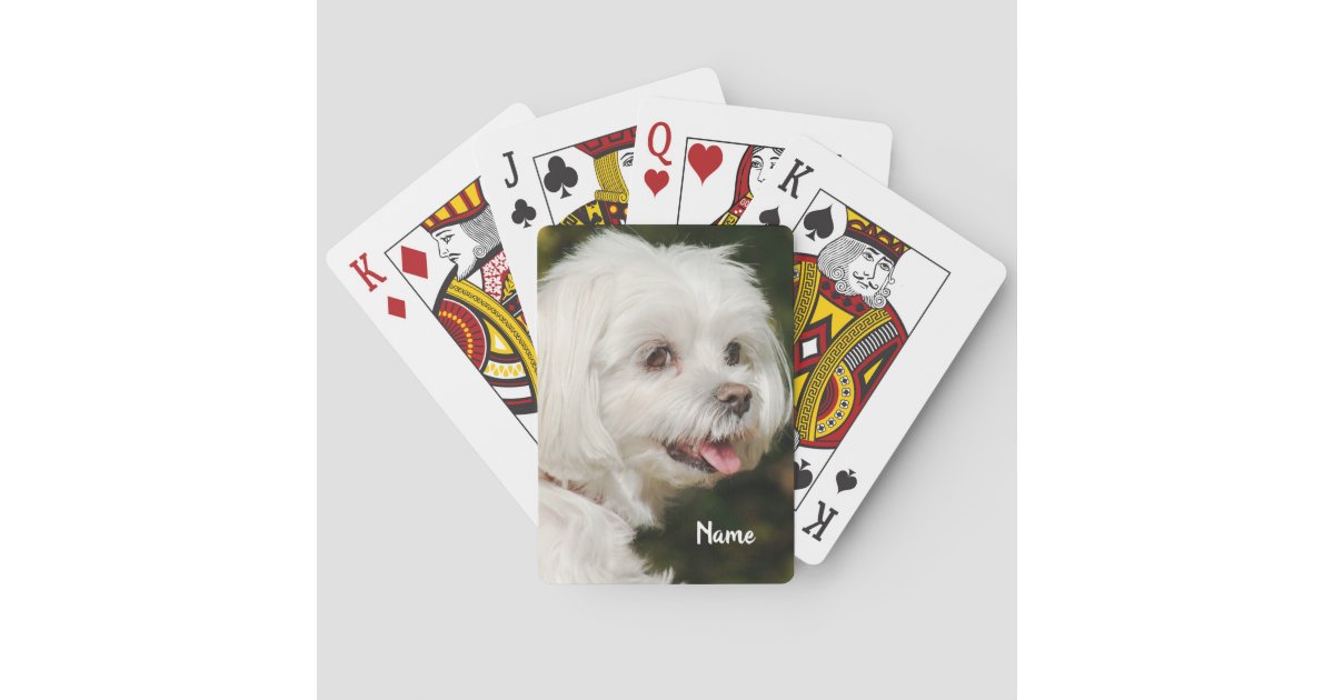 Personalized White Maltese Puppy Dog Poker Cards | Zazzle