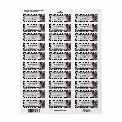 Personalized Zebra Stripes Return Address Labels | Zazzle