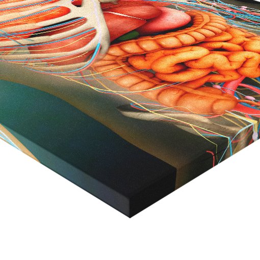 Perspective View Of Human Body, Whole Organs Canvas Print | Zazzle
