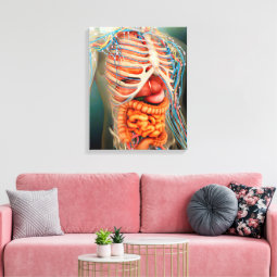 Perspective View Of Human Body, Whole Organs Canvas Print | Zazzle