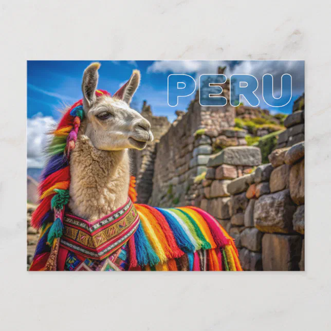 Peru Llama Postcard | Zazzle