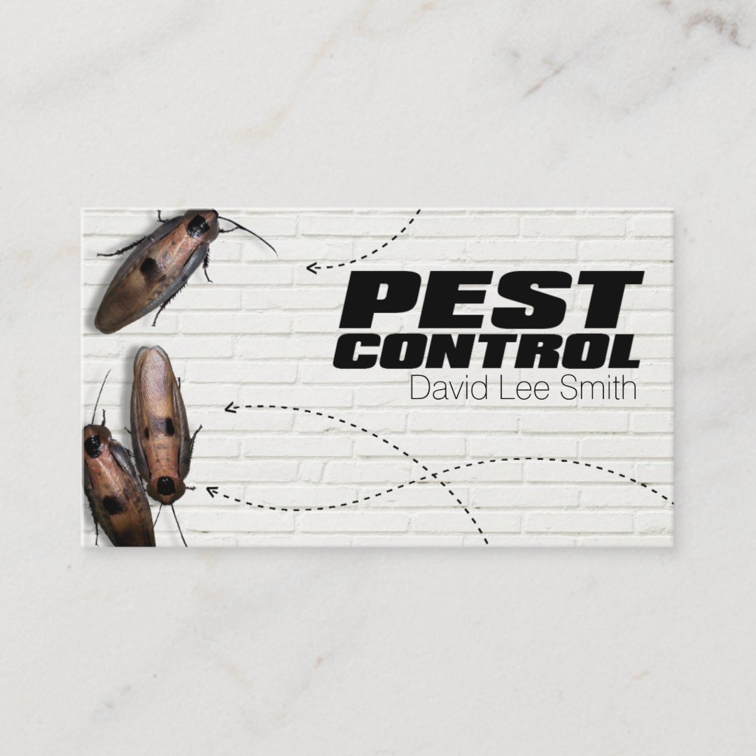 Pest control business card | Zazzle