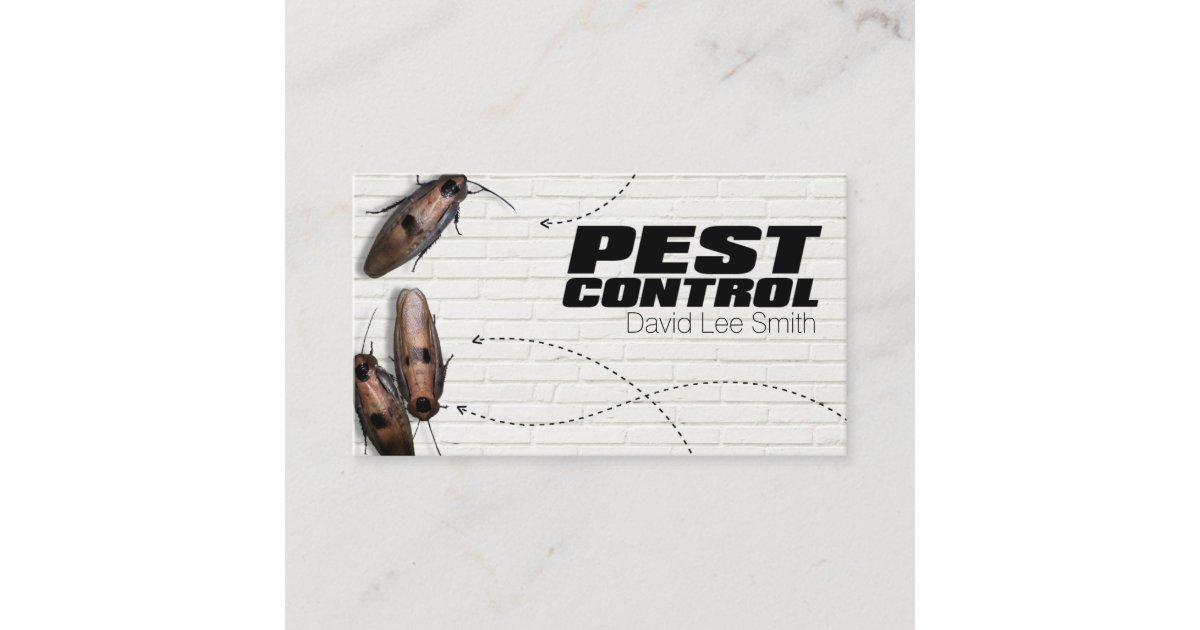 Pest control business card | Zazzle