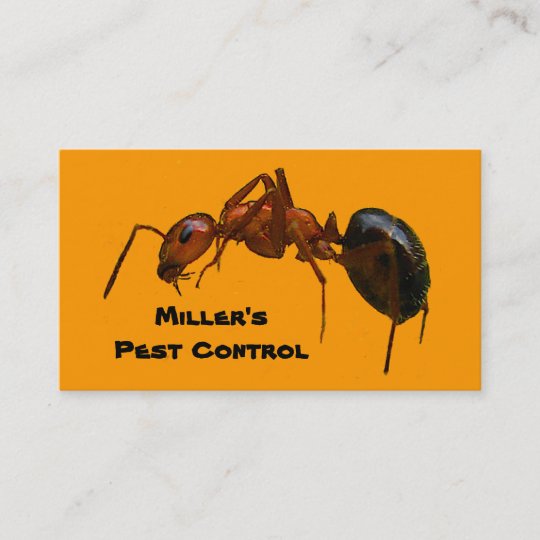 Pest Control Business Card | Zazzle.com