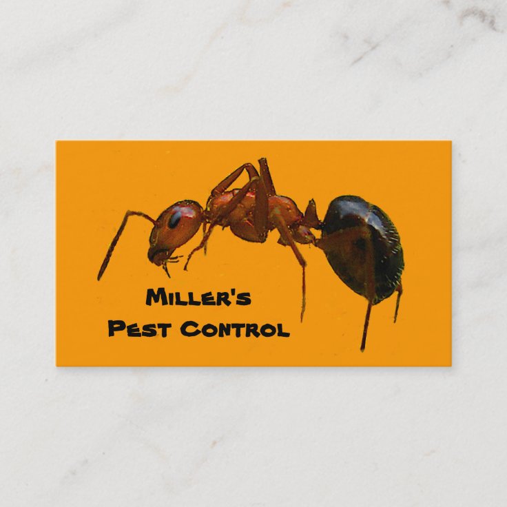 Pest Control Business Card | Zazzle