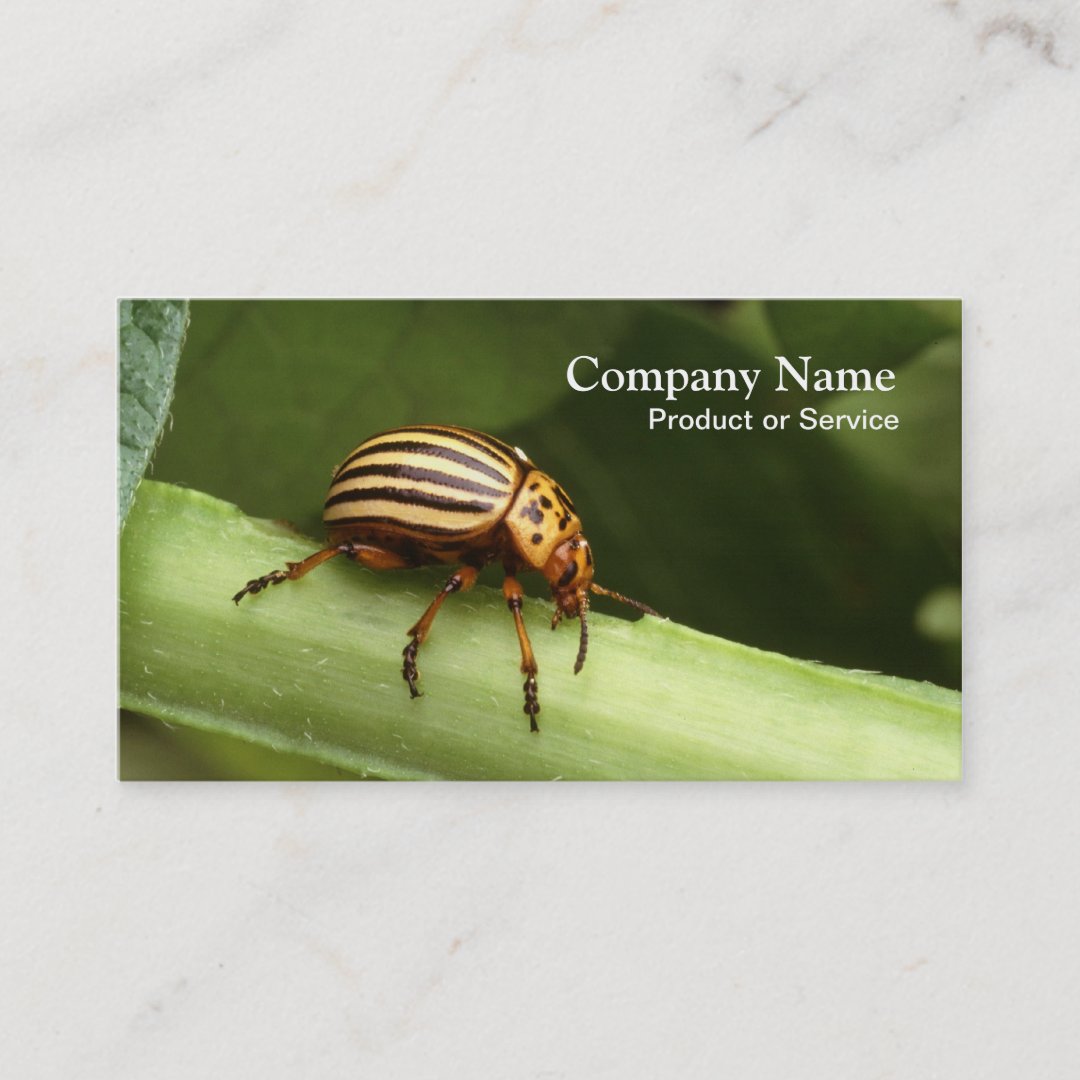Pest control business card | Zazzle