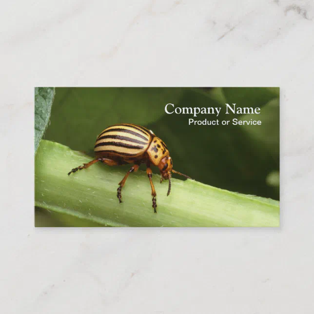 Pest control business card | Zazzle