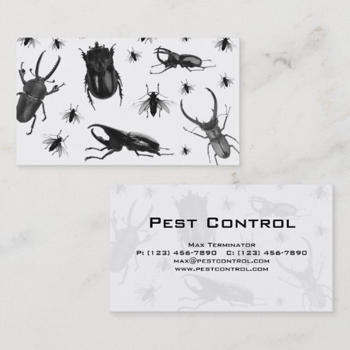 Pest Control Business Card Cockroach Flies | Zazzle