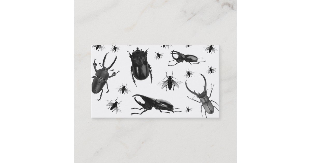 Pest Control Business Card Cockroach Flies | Zazzle