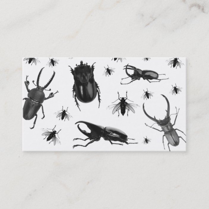 Pest Control Business Card Cockroach Flies | Zazzle.com
