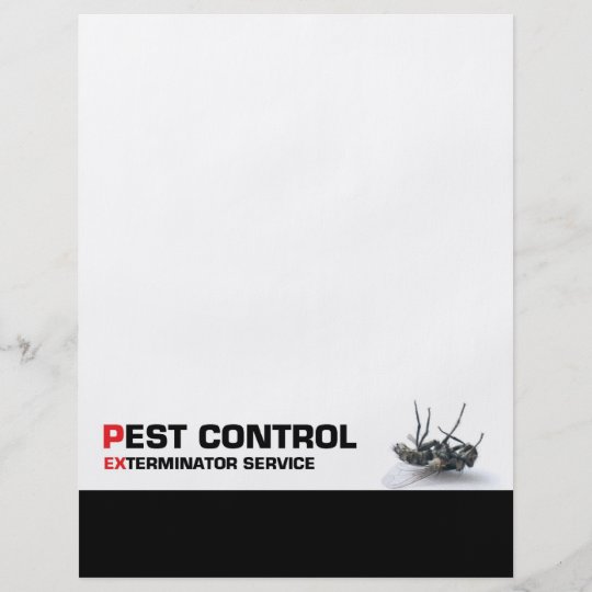 Pest control service flyer | Zazzle.com